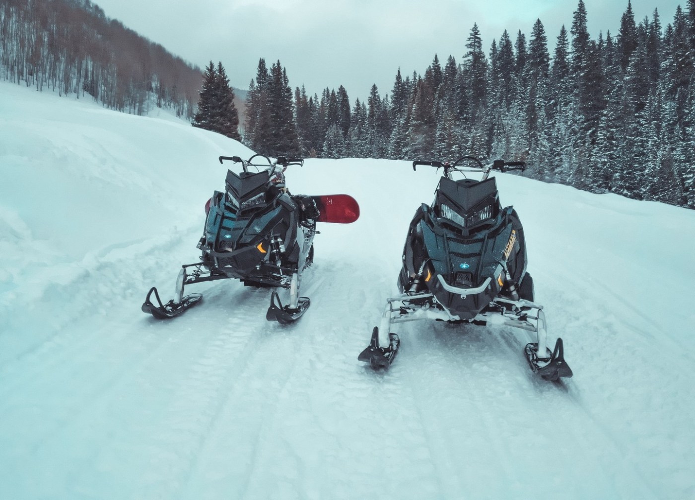 Buena Vista Snowmobile Tours in CO | Rocky Mountain Adventure