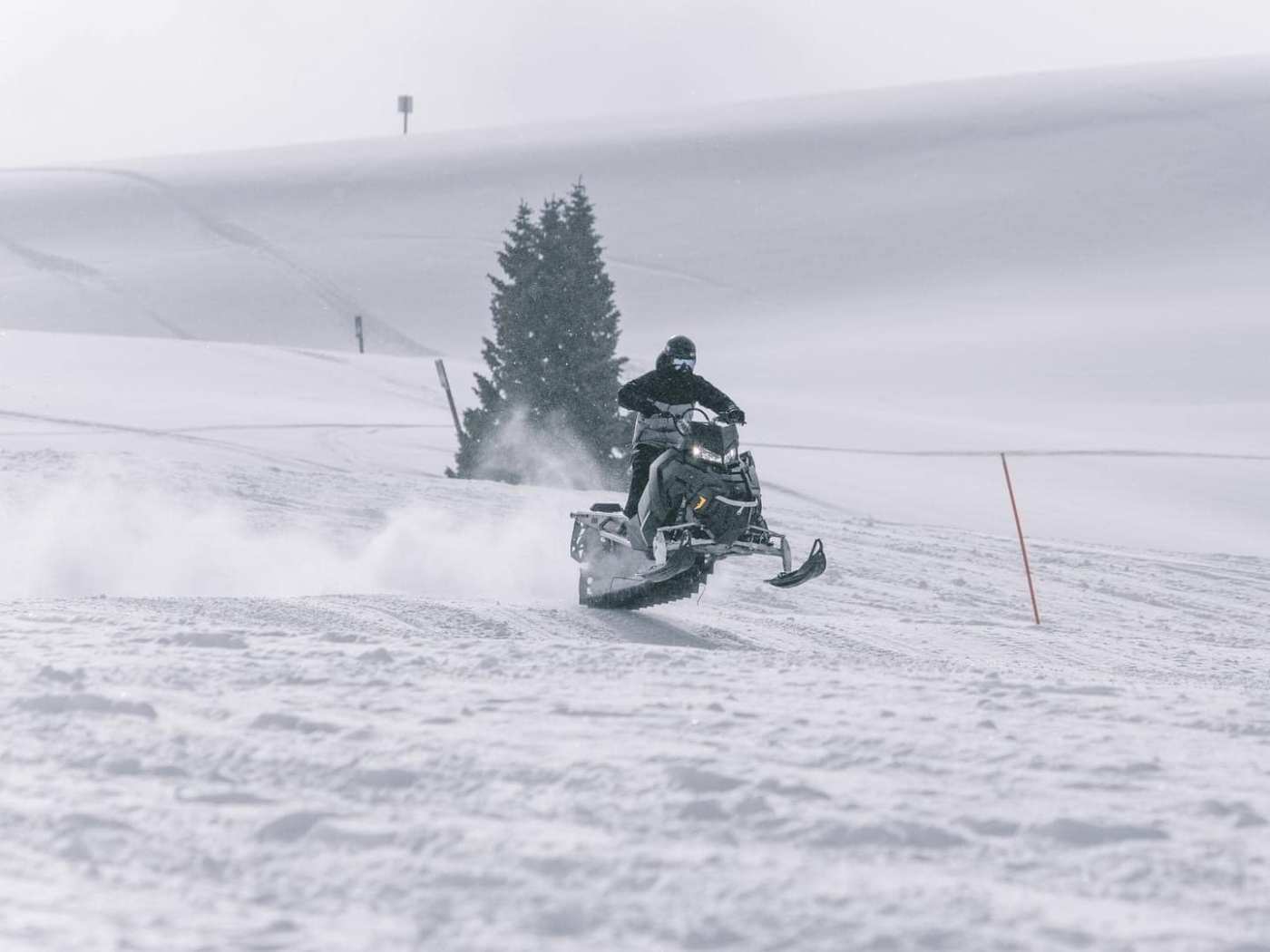 Buena Vista Snowmobile Rental in CO | Rocky Mountain Adventure